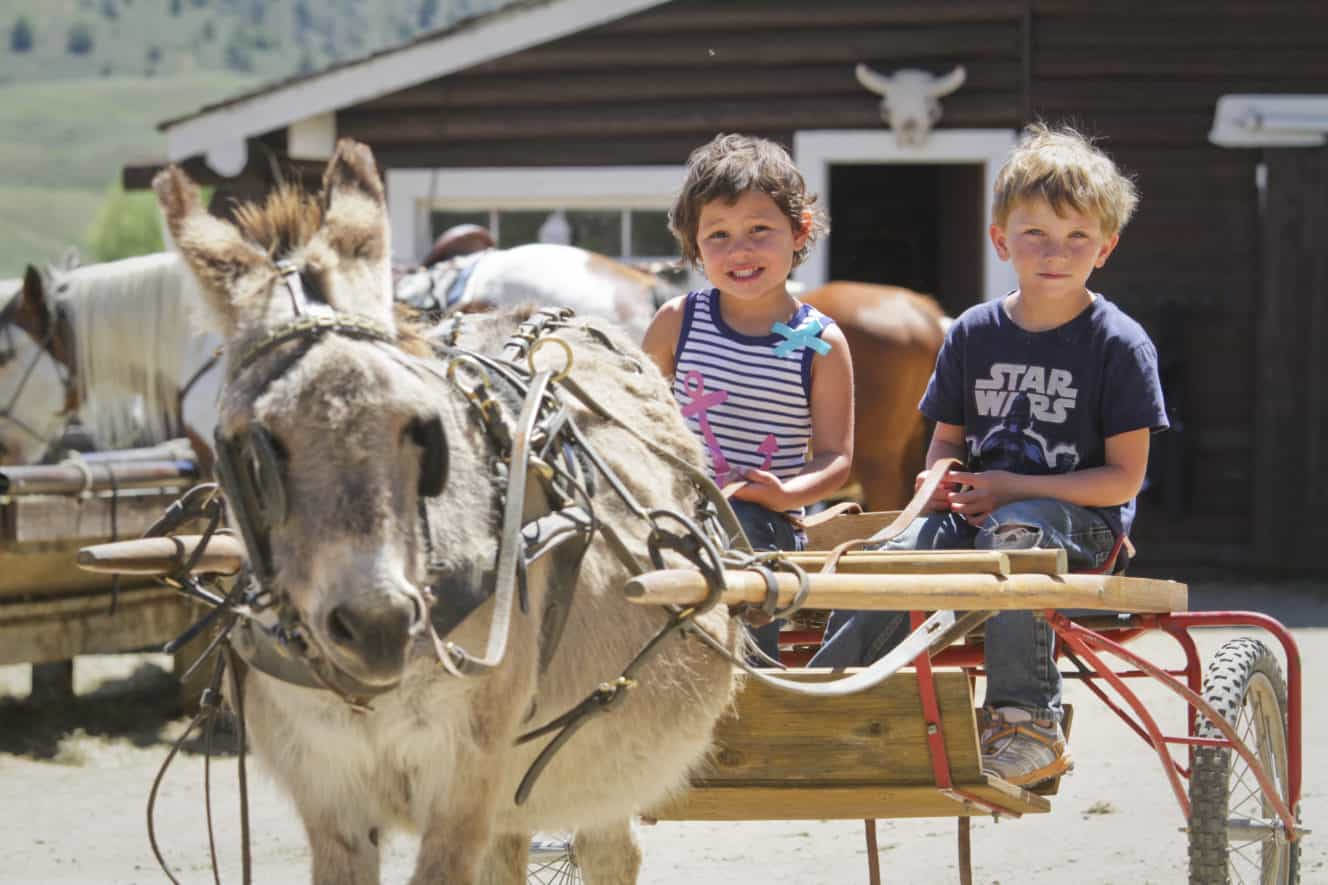 Experiences at C Lazy U for the Under 6 Crowd | C Lazy U Ranch