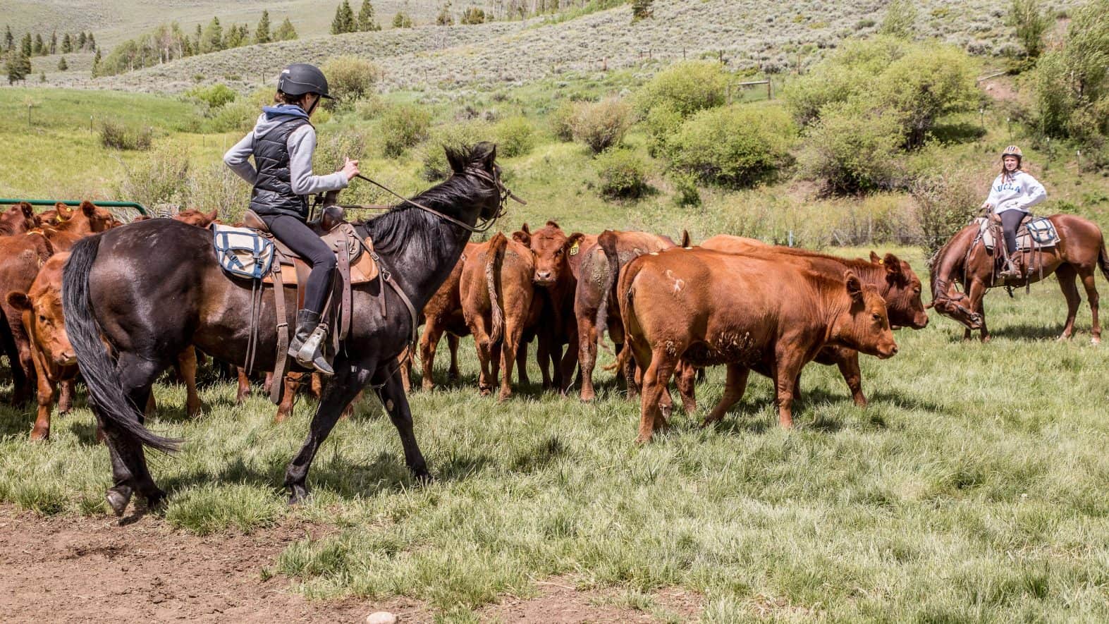 A Day in the Life of a Real Rancher - C Lazy U