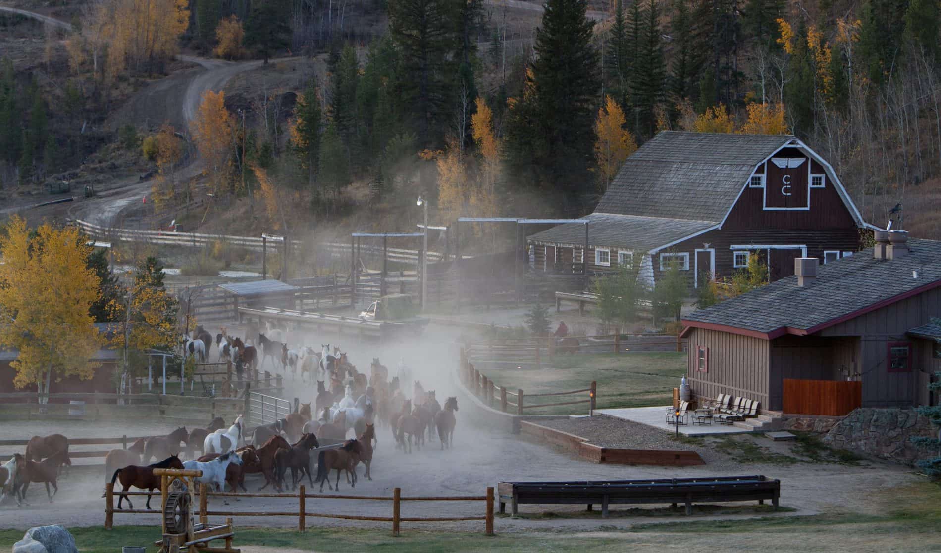 What Do C Lazy U’s Horses Do In The Winter? | C Lazy U Ranch