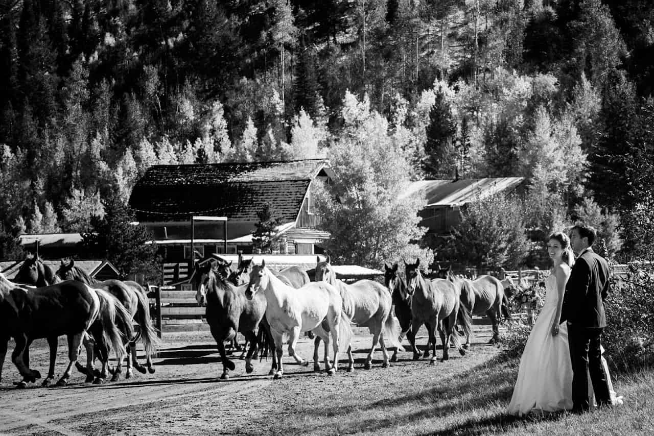 Planning the Perfect Rustic Wedding | C Lazy U Ranch