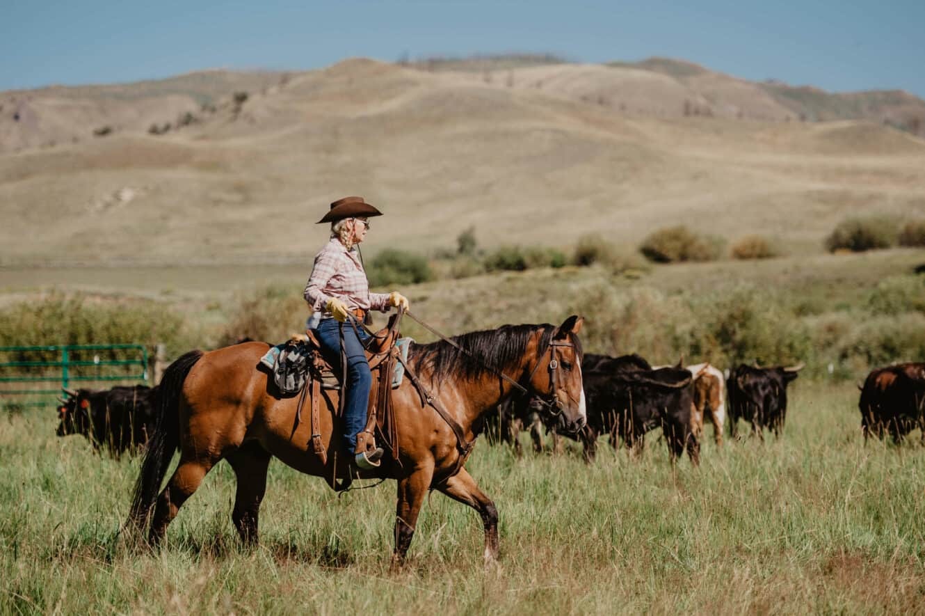 Family Summer Vacation in Colorado | C Lazy U Ranch