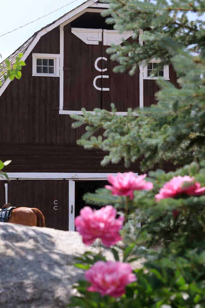 Photo Gallery | C Lazy U Dude Ranch | Colorado Family Vacations