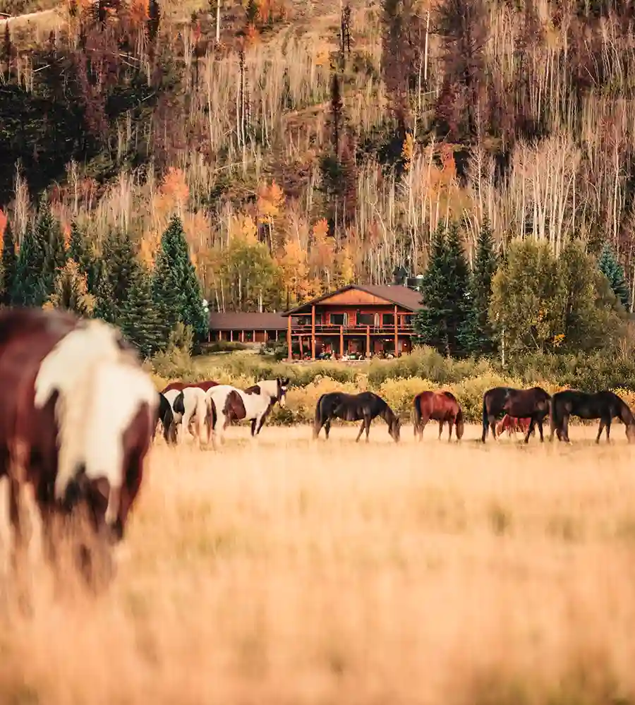 All-Inclusive Dude Ranch in Granby, CO - C Lazy U