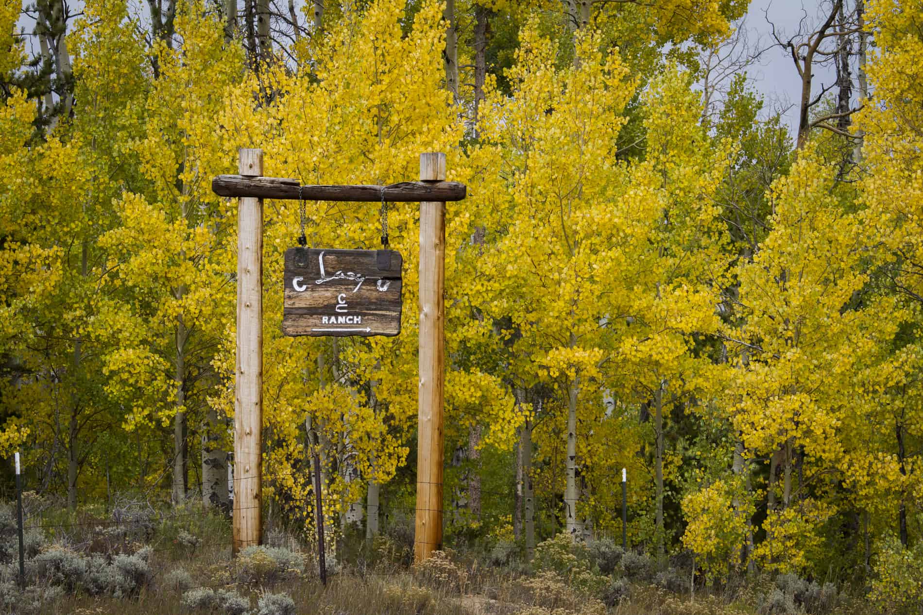Colorful Colorado: Fall at the Ranch | C Lazy U Ranch