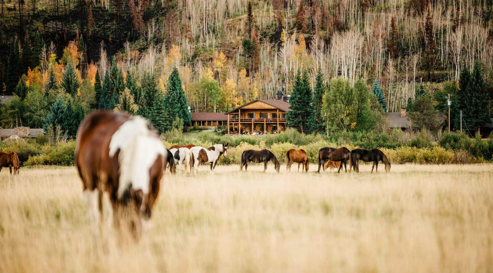 Adults-Only 4-Night Getaway | C Lazy U Ranch