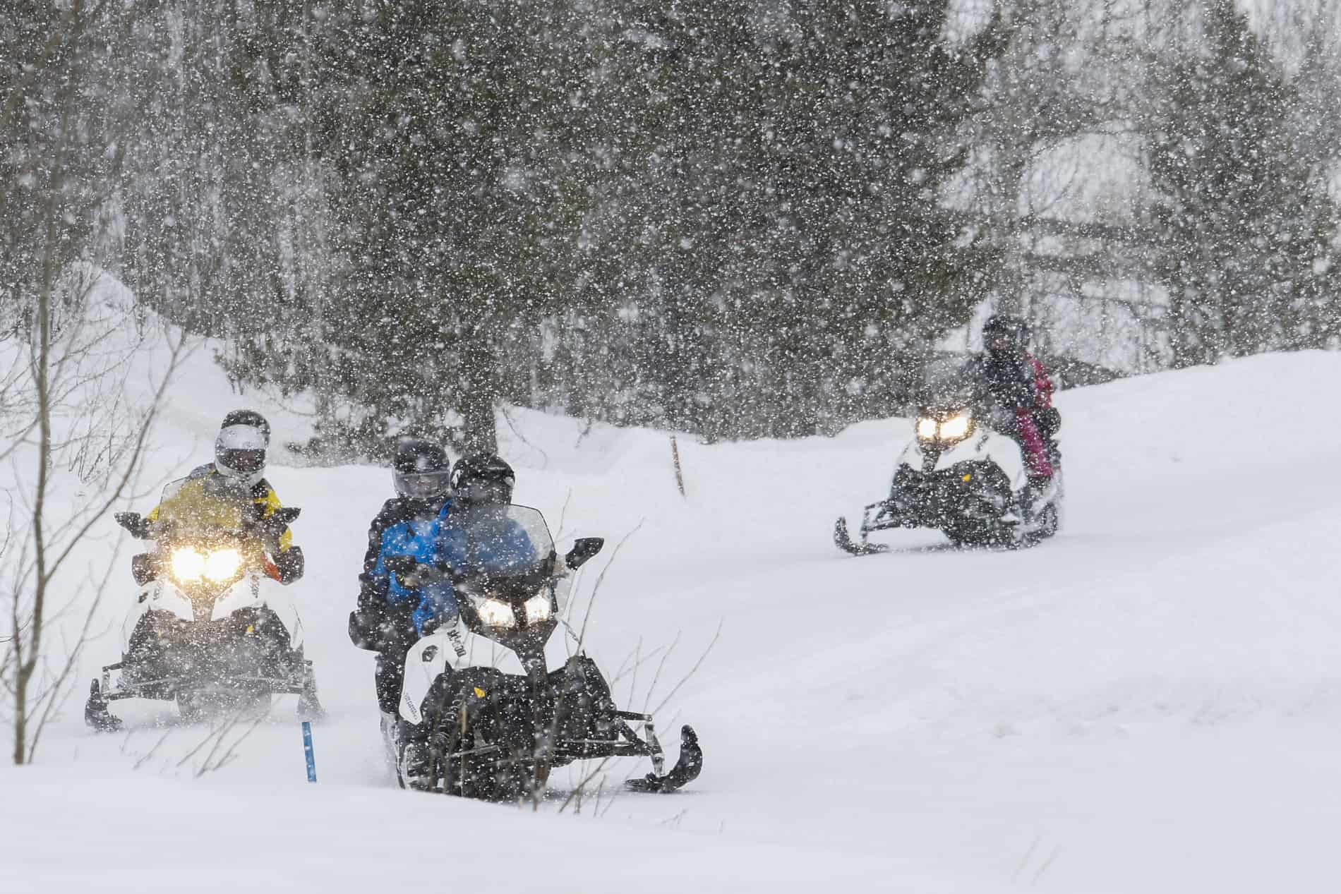 Avoid the Ski Resorts with These Spring Break Ideas | C Lazy U Ranch