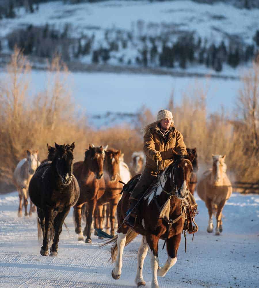 Dude Ranch Durango What Is A Dude Ranch? | The Dude Ranchers